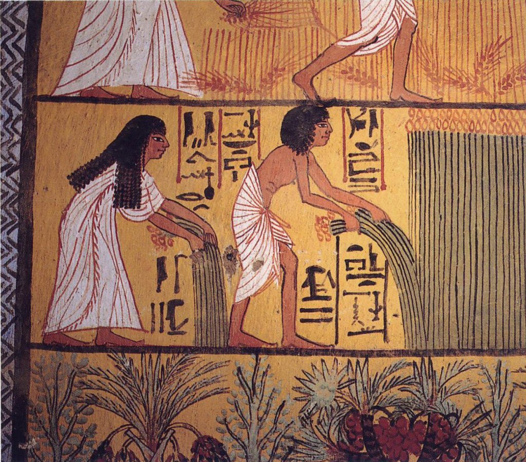 History of Teff – Flour Academy